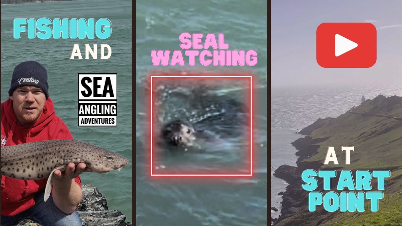 Sea Fishing uk | Fishing & Seal Watching | Travel to Start Point In ...