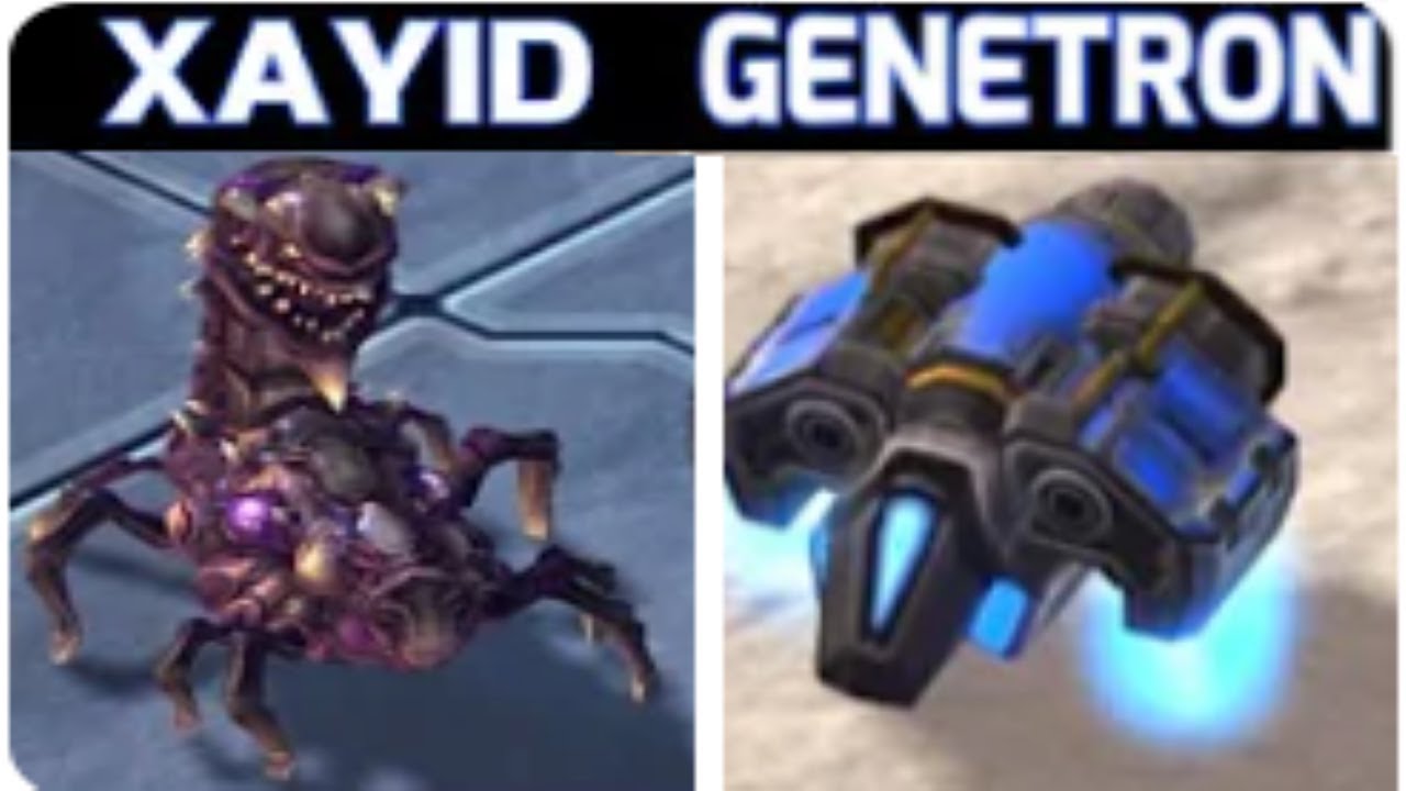 StarCraft 2 - Xayid vs Genetron All Races PvP mod - YouTube