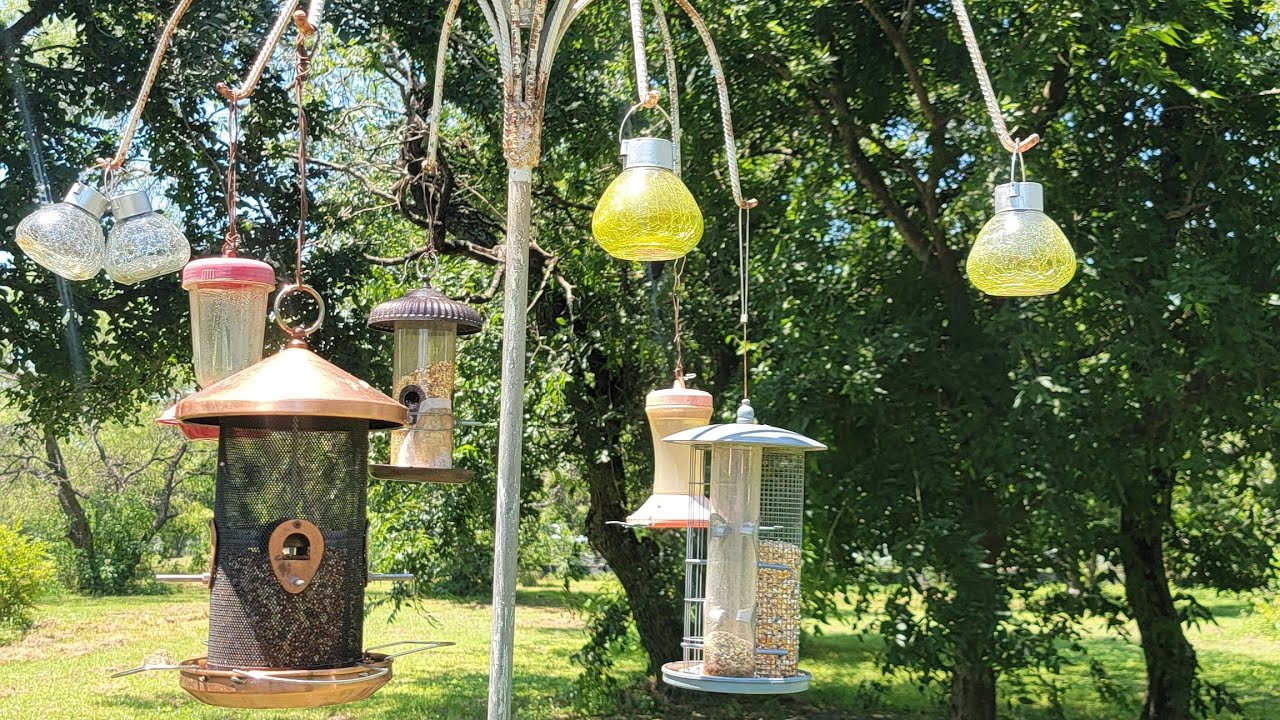 Our bird feeders.@ Wide Open Transit Farm - YouTube