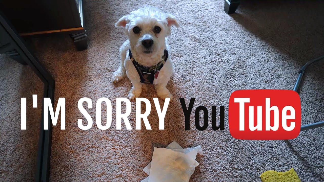 SORRY YOUTUBE - YouTube