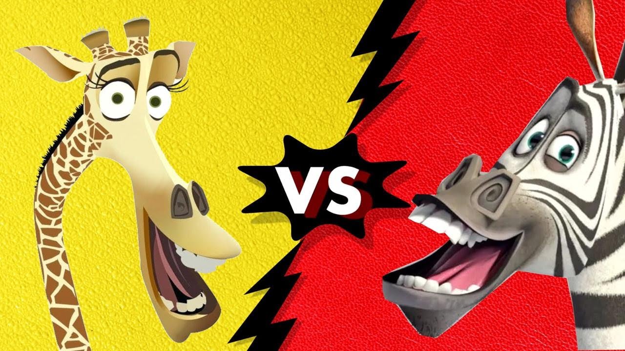 Giraffe vs Zebra in real live - YouTube