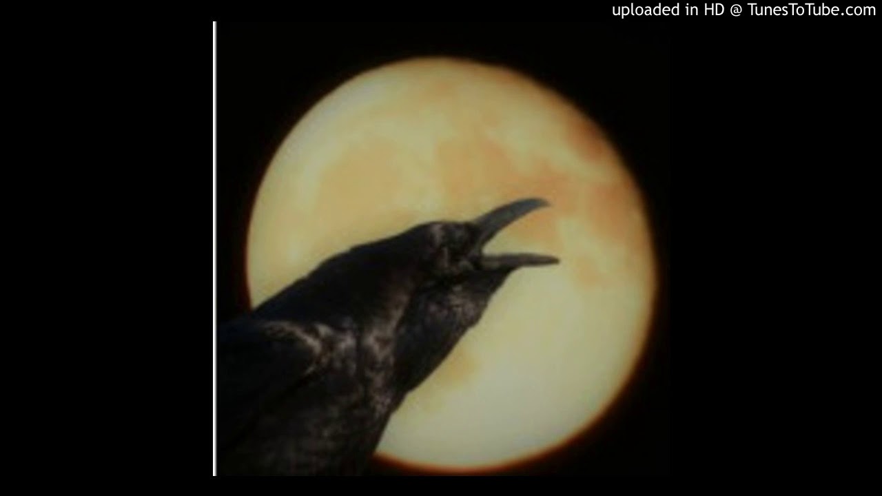 Under a dark light -The Crows - YouTube