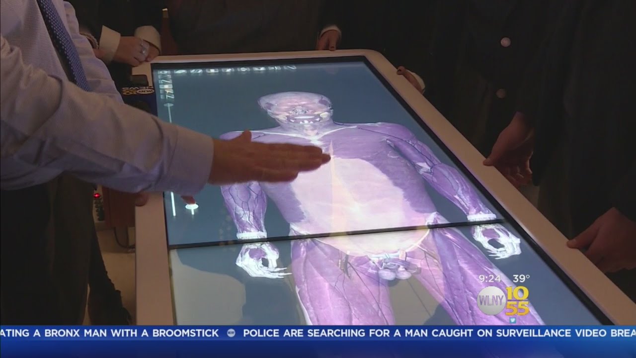 Virtual Cadavers Offer A Cutting Edge Look At The Body - YouTube