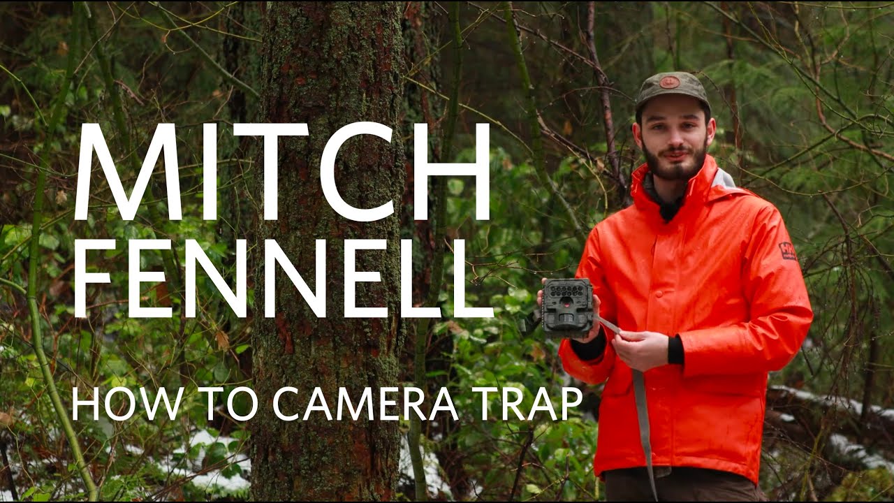 How to set up a camera trap - YouTube