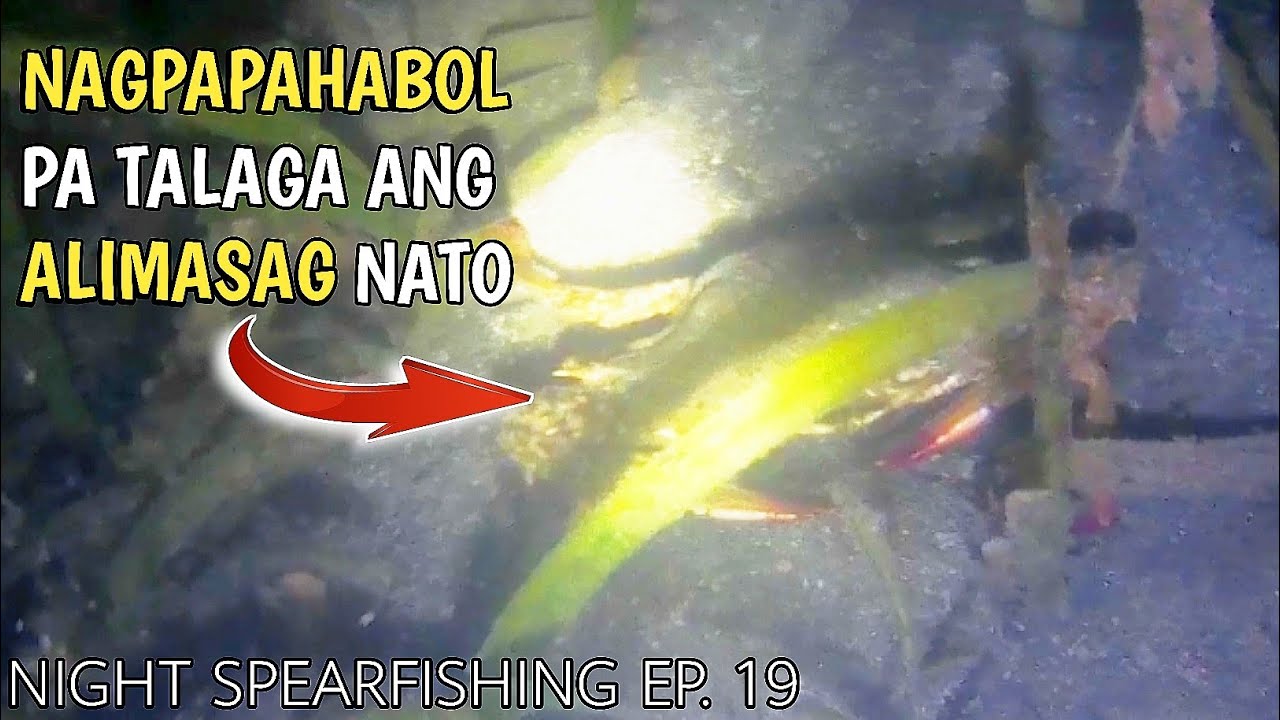NIGHT SPEARFISHING EP. 19, PAMAMANA NG DANGGIT SA SEAGRASS O DAMONG ...