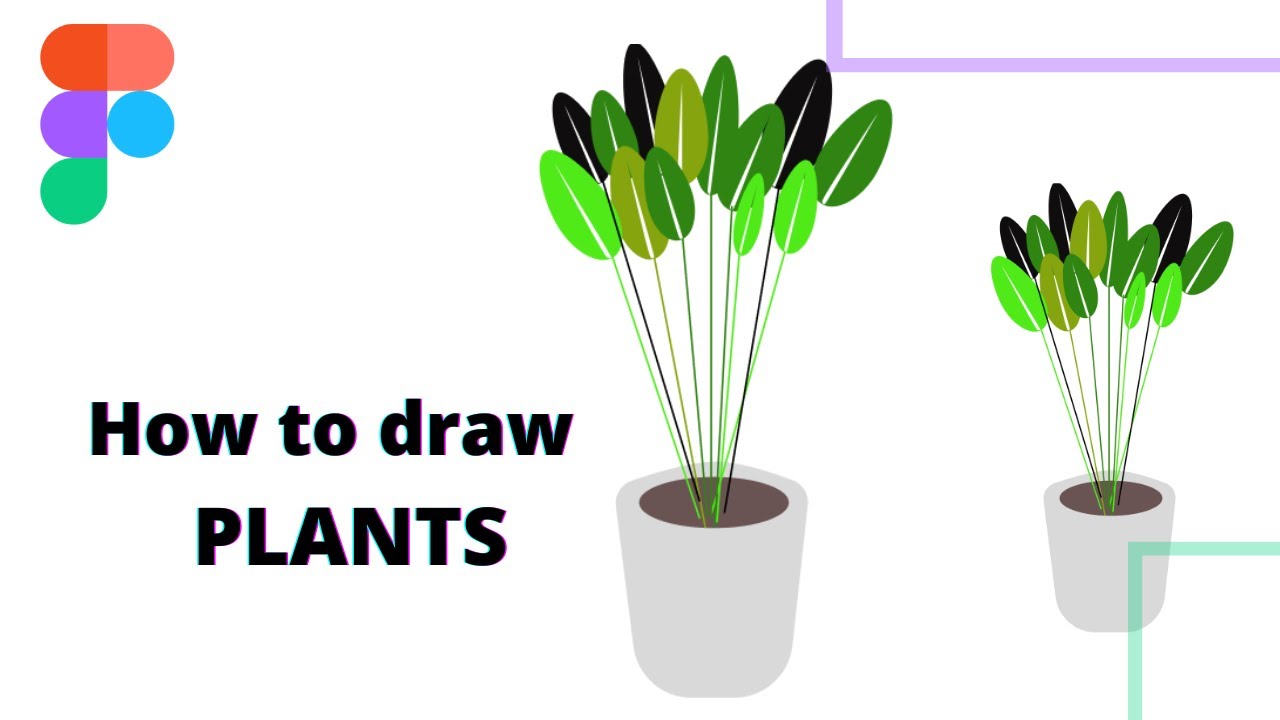 How to draw a PLANTS ｜FIGMA - YouTube