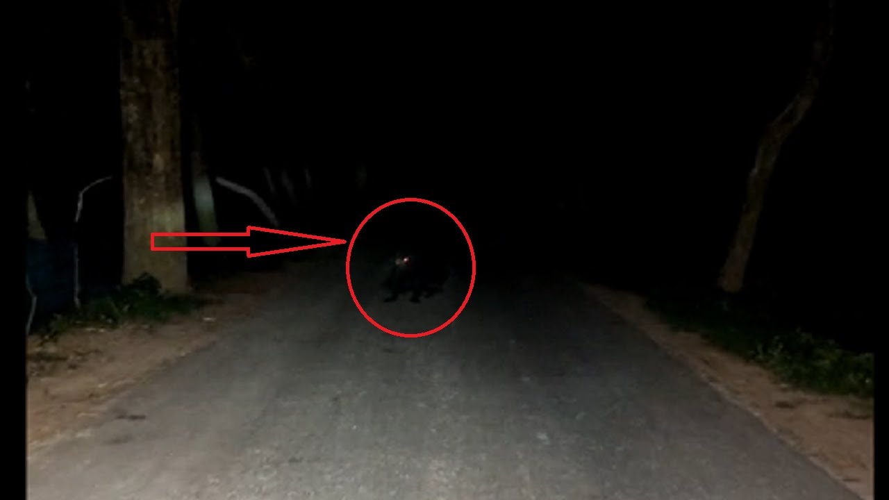 Devil Ghost On The Haunted Road At Night || Ghost Fighter - YouTube