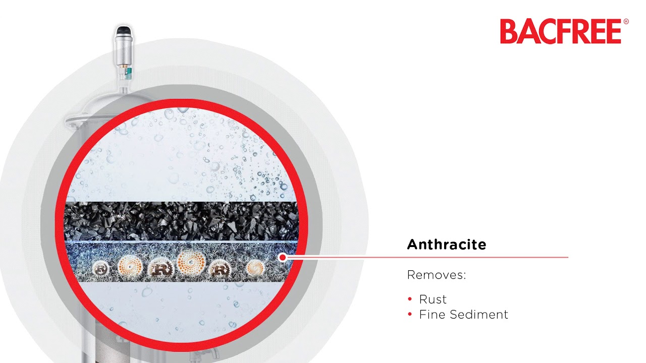 How Does Bacfree Multimedia Filtration Work? - YouTube