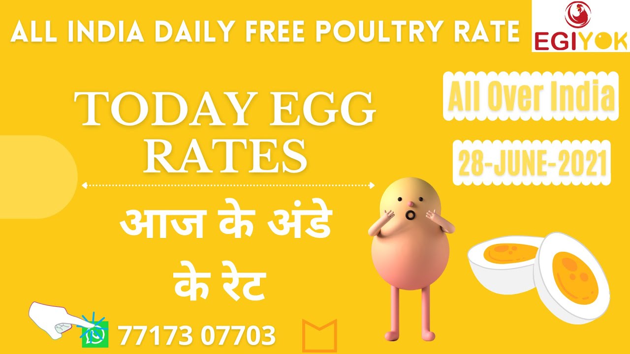 Today Egg Rate| Egg Rate Today| BARWALA EGG RATE| Ande ka Rate| Poultry ...