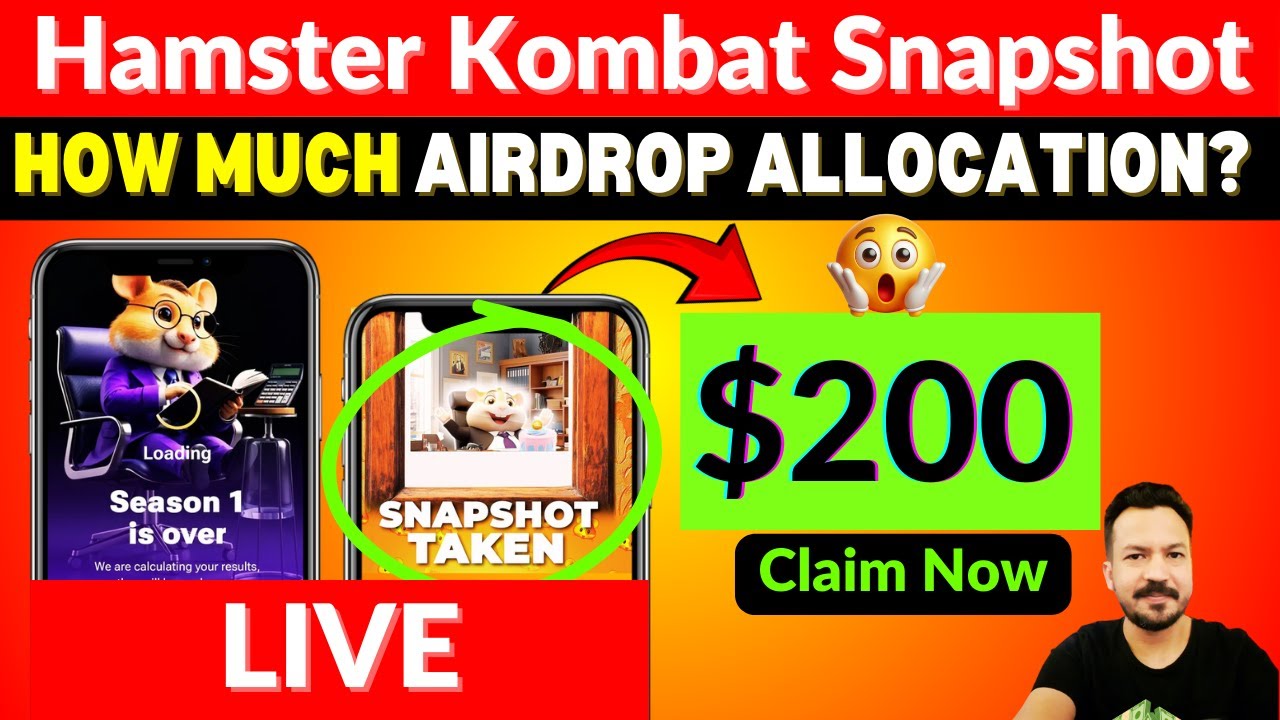 Hamster Kombat Airdrop Allocation Season 1 is Over #hamsterkombat - YouTube