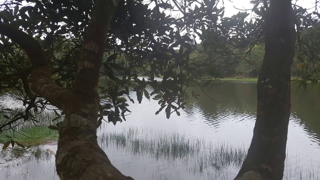 La Laguna de Don Manuel - YouTube