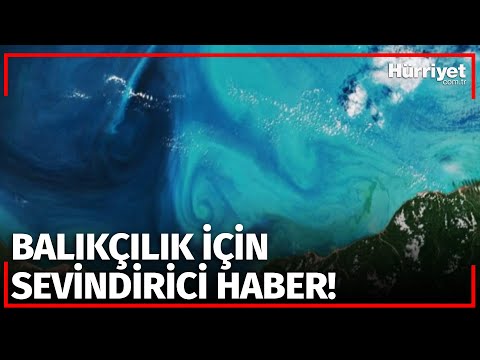 Karadeniz'in Turkuaza Bürünen Rengi Uzaydan Görülüyor