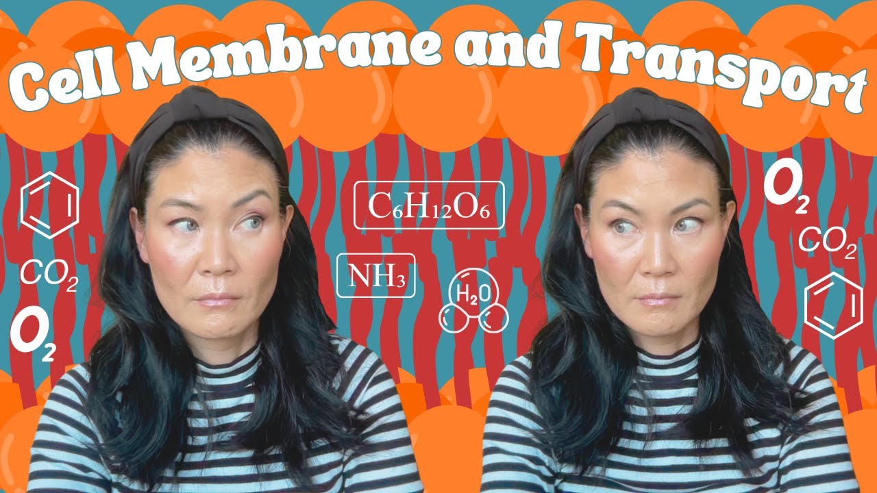 Cell Membrane and Transport - YouTube