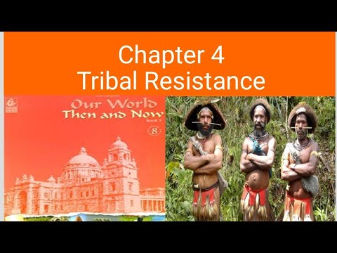 Class 8 history chapter 4 Tribal Resistance - YouTube