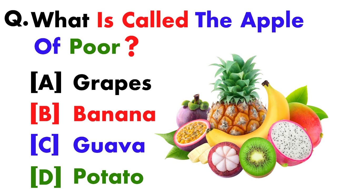 GK Questions Answers In English #6 || General knowledge questions and ...