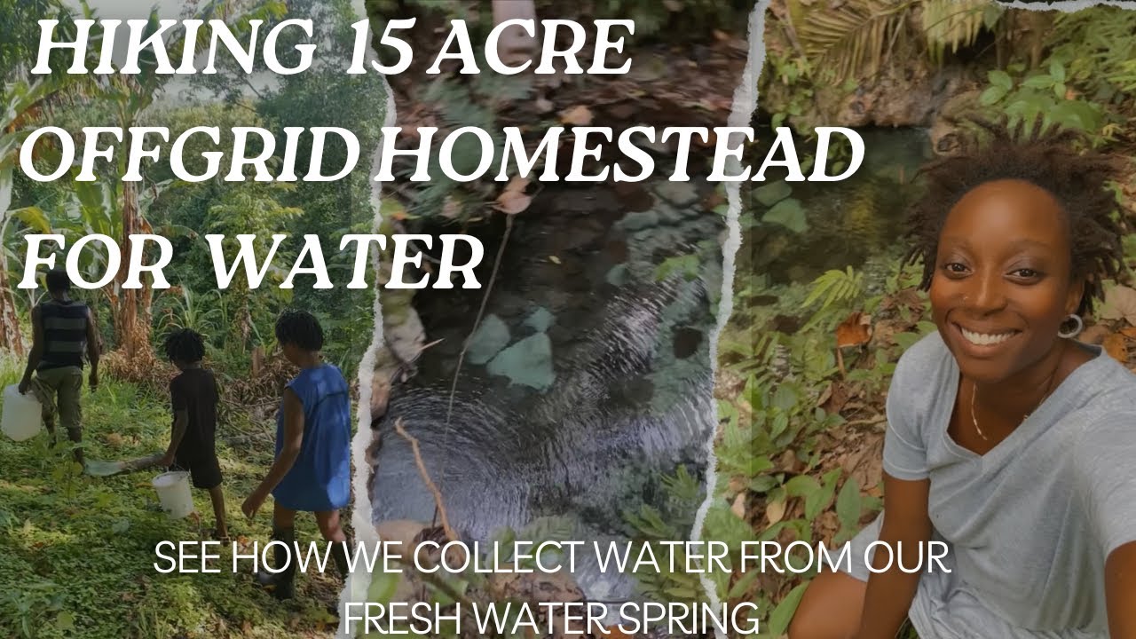 Off-Grid Water Collection: Hiking to Our 15-Acre Homestead's Freshwater ...