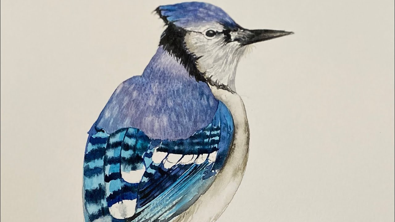 learn to paint Blue jay in watercolor!check out full tutorial! #birds # ...