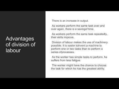 What is the division of labour? Advantages and Disadvantages of division of labour. - YouTube