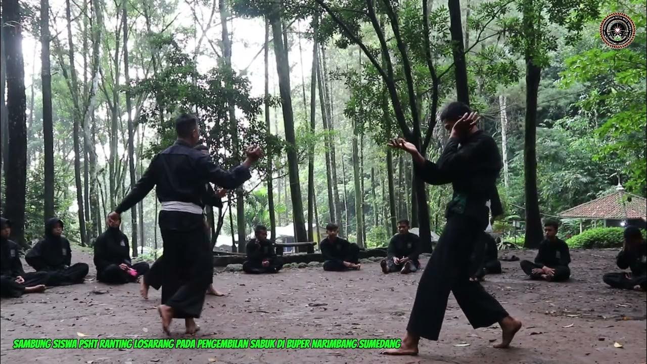 SAMBUNG SISWA IJO PSHT RANTING LOSARANG DI NARIMBANG - YouTube