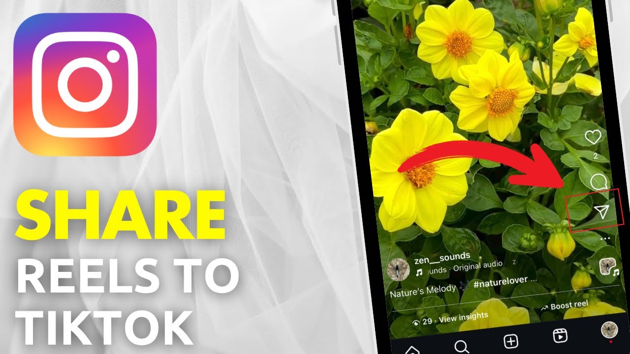 How To Share Instagram Reels On TikTok (EASY!) - YouTube