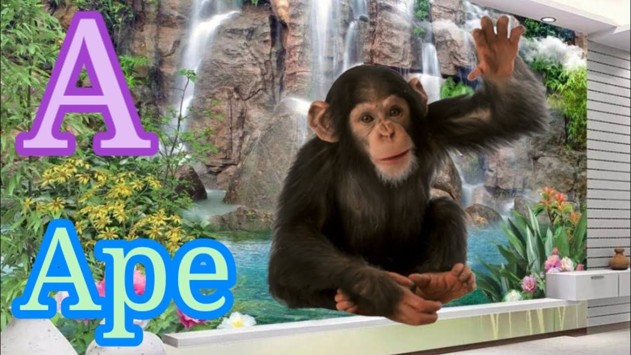 A for apple,Ape, B for ball, abcd,phonics song,alphabet,अ से अनार,क से ...