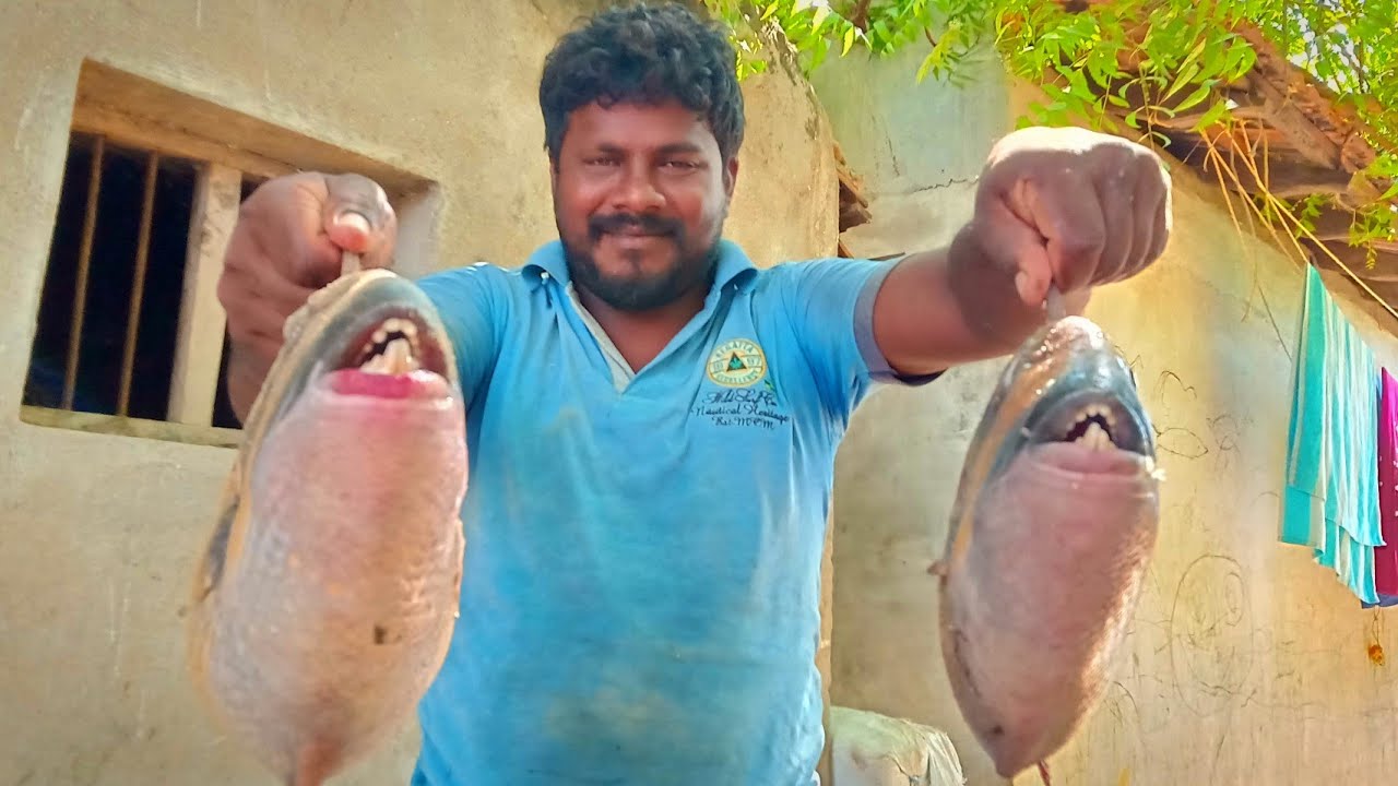 பிராணா மீன் சமையல் / Piranha fish cooking | Ungal Meenavan - YouTube