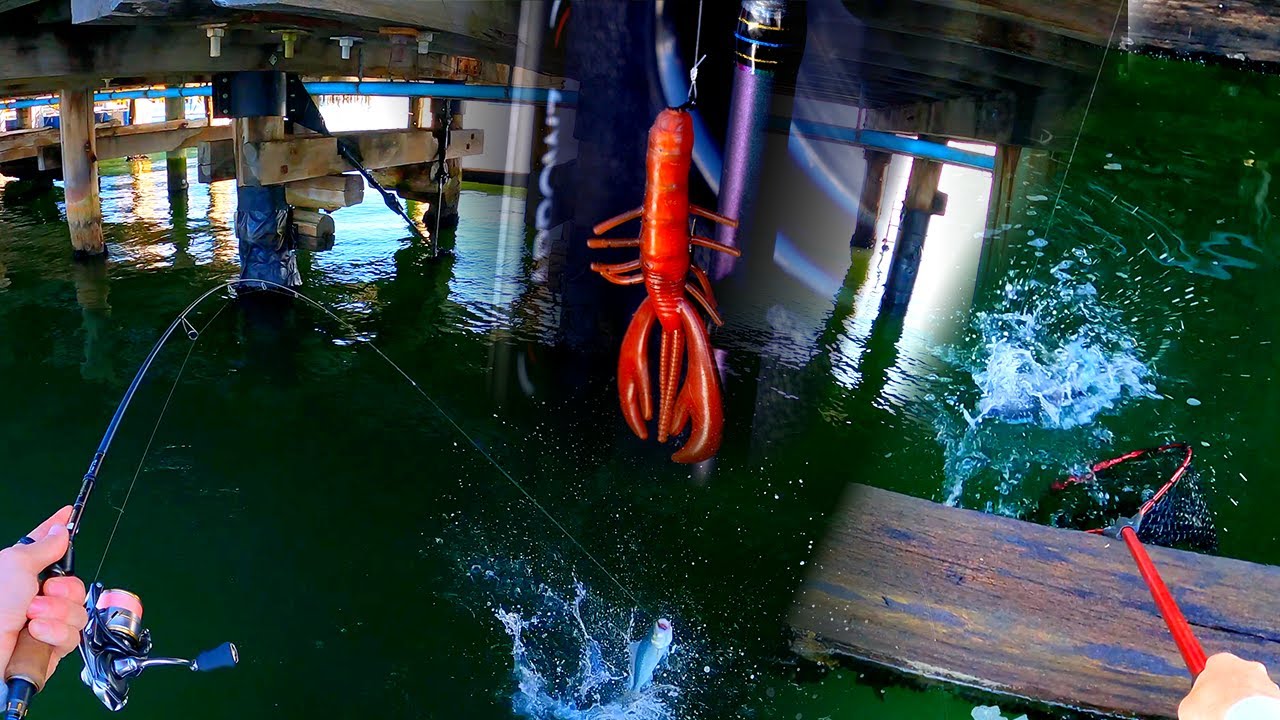 Fishing Heavy Structure with this Yabby Lure! - YouTube