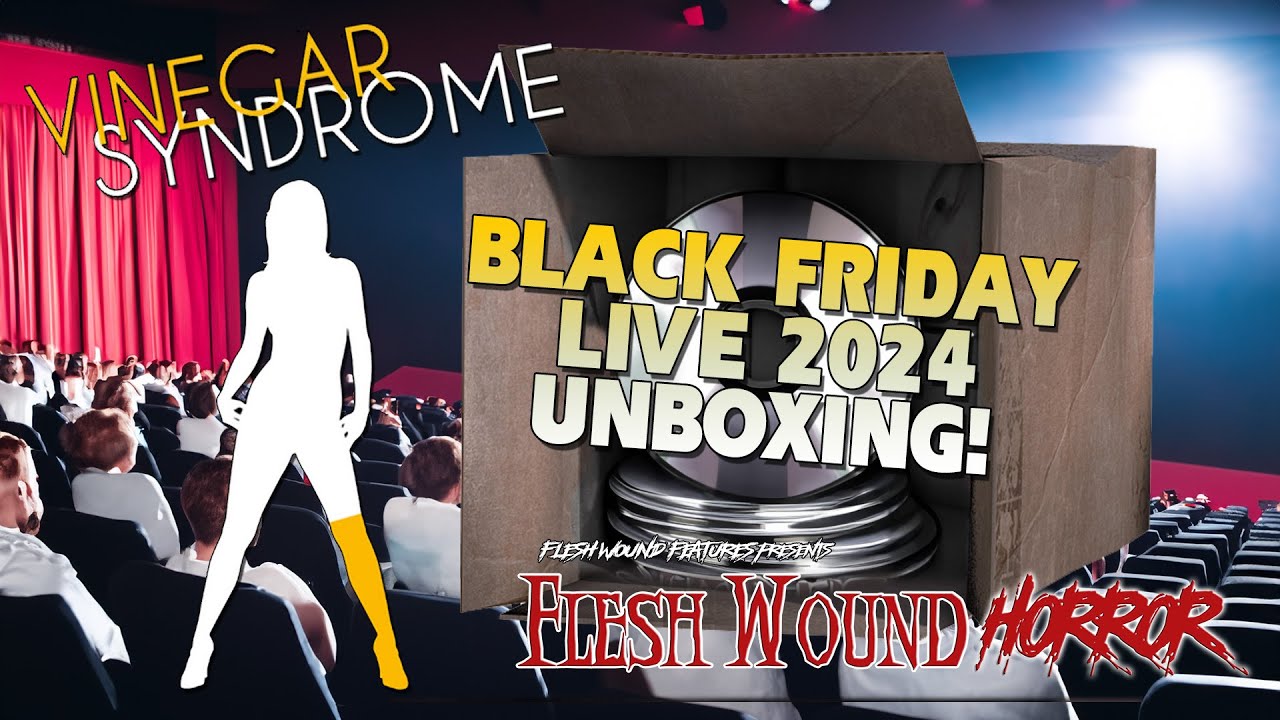 VINEGAR SYNDROME BLACK FRIDAY HAUL | UNBOXING | 2024 | Flesh Wound ...