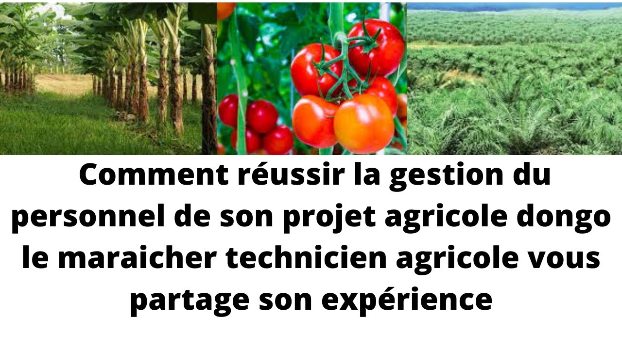 COMMENT GERER ET REUSSIR LES DEBUT SON PROJET AGRICOLE:partie2 la ...