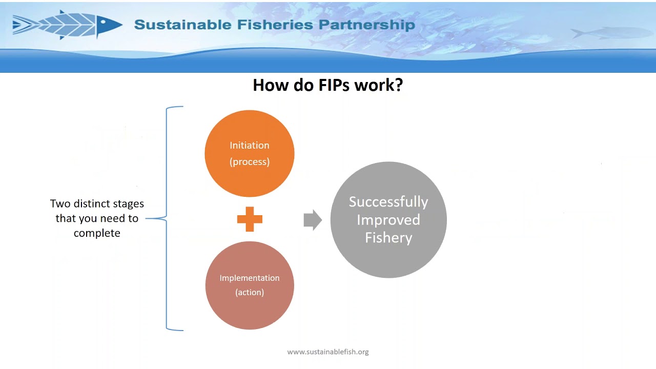 Introduction to FIPs Webinar 2017 - YouTube