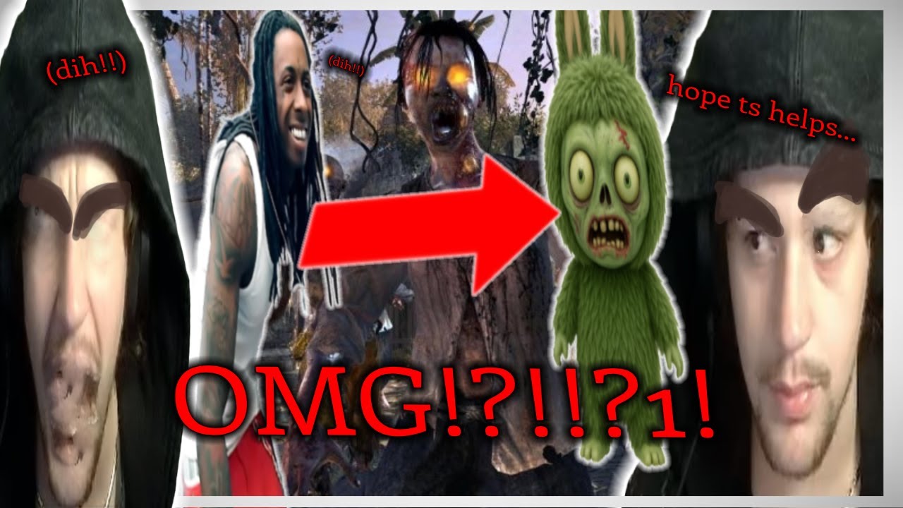 I TURNED LIL WAYNE INTO A LONELY LABUBU IN COD ZOMBIES ...