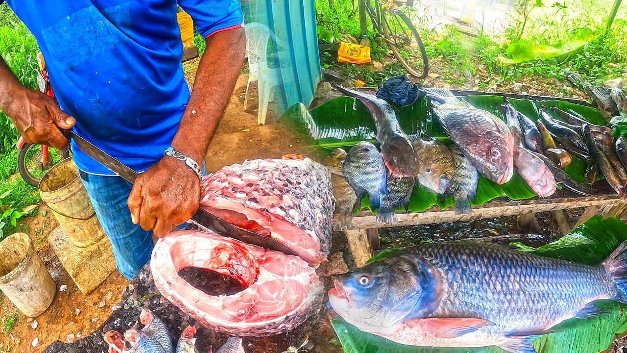 Wow Amazing ! Traditional Freshwater Seafood Fish Market In StreetSide ...