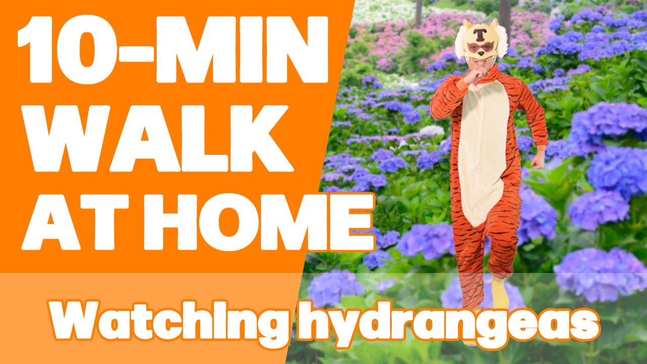 10-minute walking workout at home for beginners 😁 - YouTube