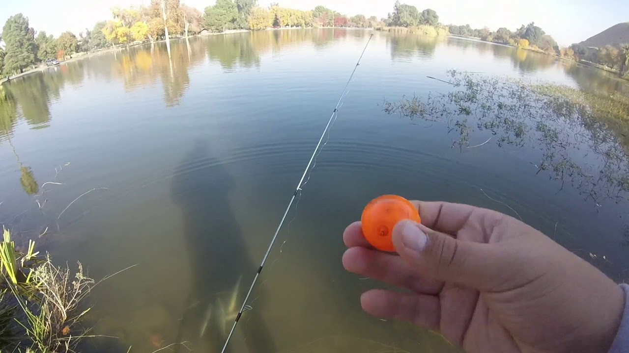 hart park trout fishing ca - YouTube