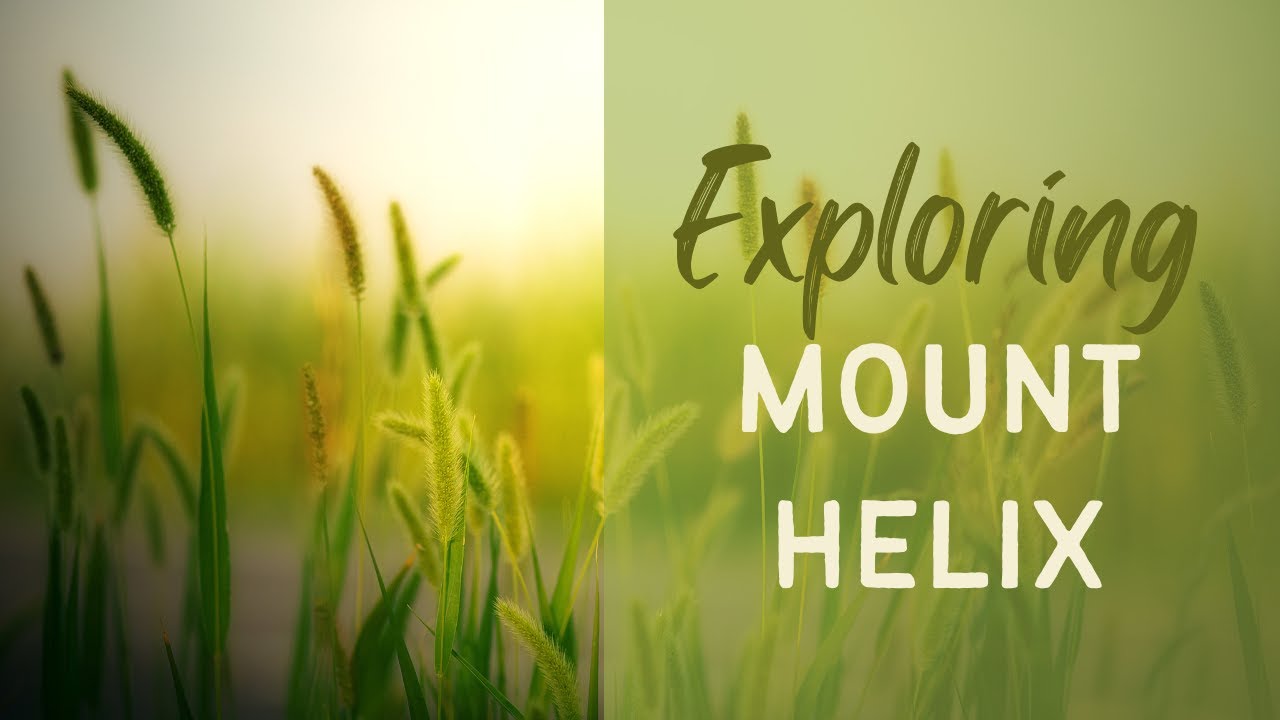 Exploring Mount Helix Park | San Diego - YouTube