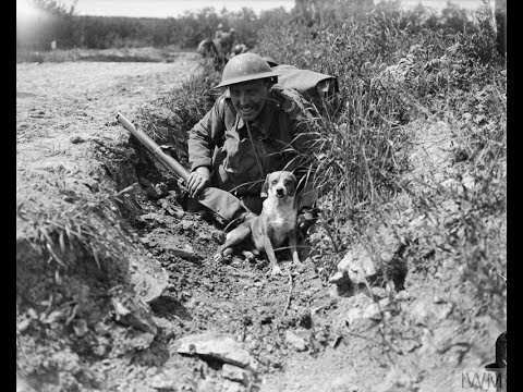 Third Battle of the Aisne 28 May 1918 in the Great War