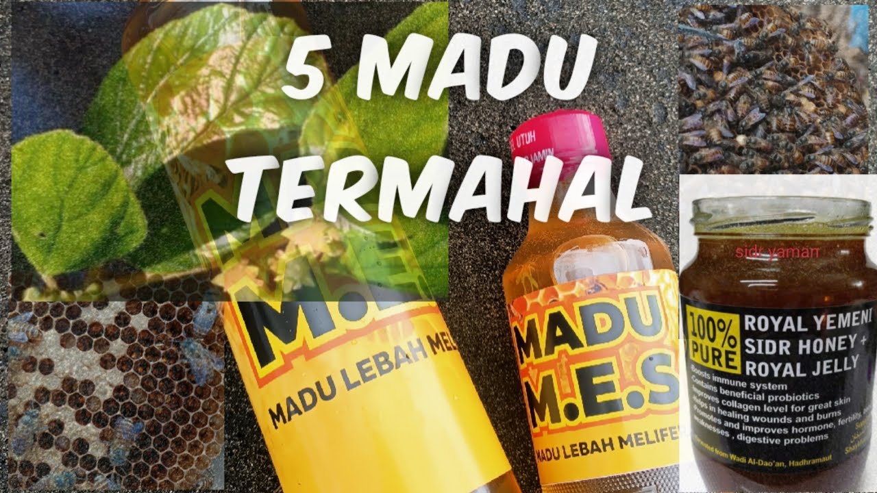 5 Madu Termahal Di dunia Diantaranya Ada di Indonesia - YouTube