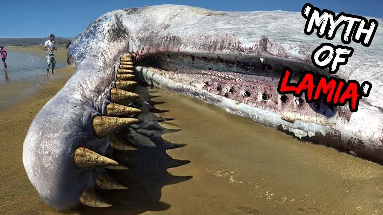 Top 5 Real Creatures You Thought Were A Myth - YouTube