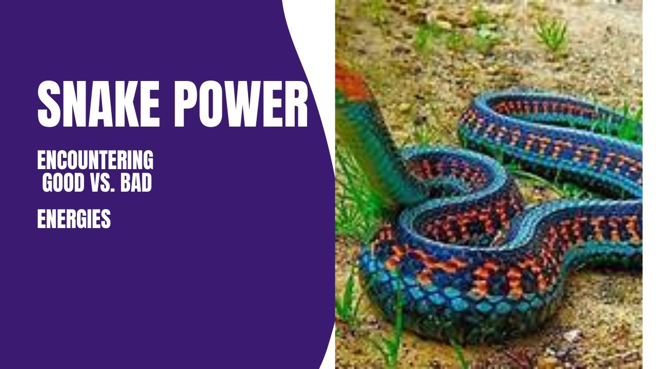 Aquarius: SNAKE 🐍 POWER & #1111: Uve encountered the same snake. Here's ...