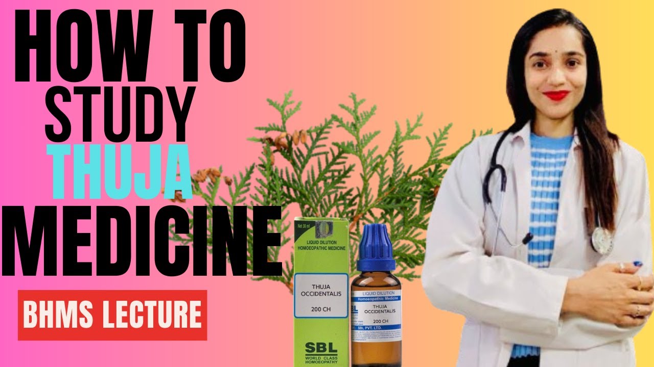 Thuja occidentalis | BHMS video lecture | thuja homeopathic medicine ...