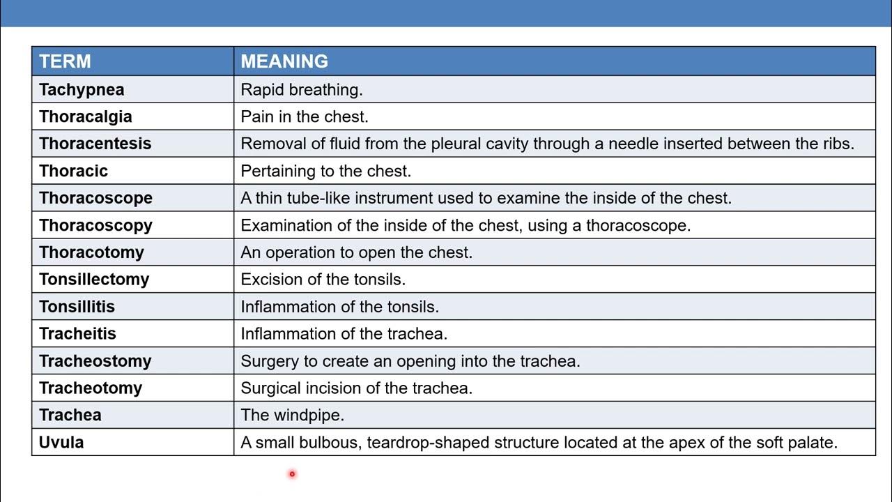 Medical terminology of respiratory system - YouTube
