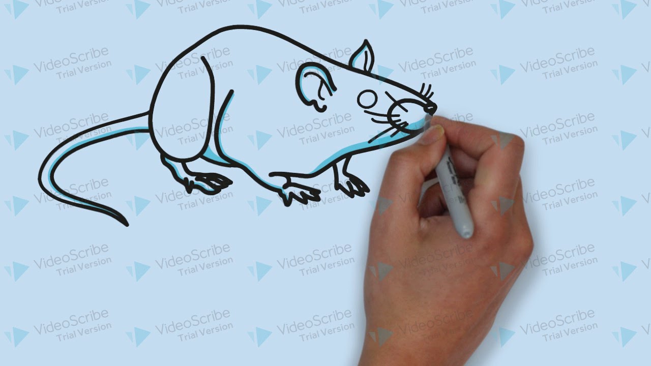 PR Project - YouTube