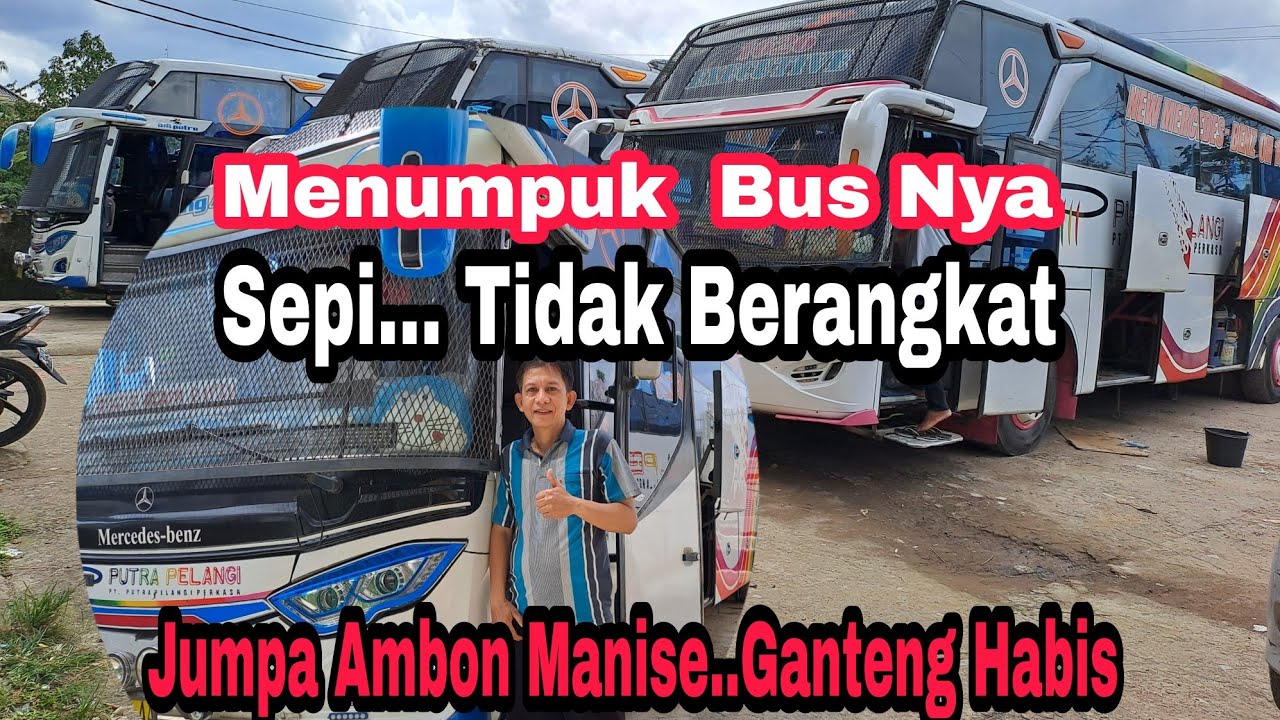 Jumpa Bus Putra Pelangi Ambon Manise📍Sepi Penumpang Bus Tidak Berangkat ...