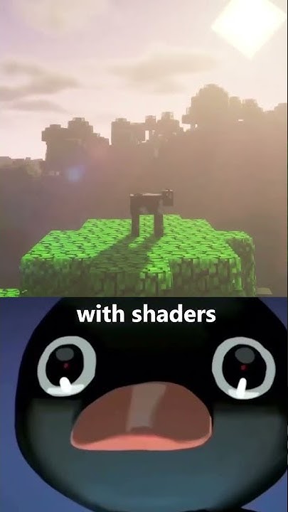 Minecraft Shaders vs No Shaders 🐧 #Shorts - YouTube