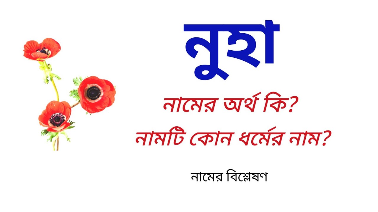 নুহা নামের অর্থ কি | Nuha name meanings | What is the meanings of Nuha ...