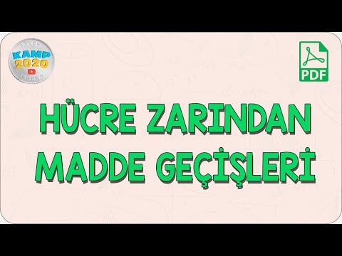 Hücre Zarından Madde Geçişleri | Kamp2020