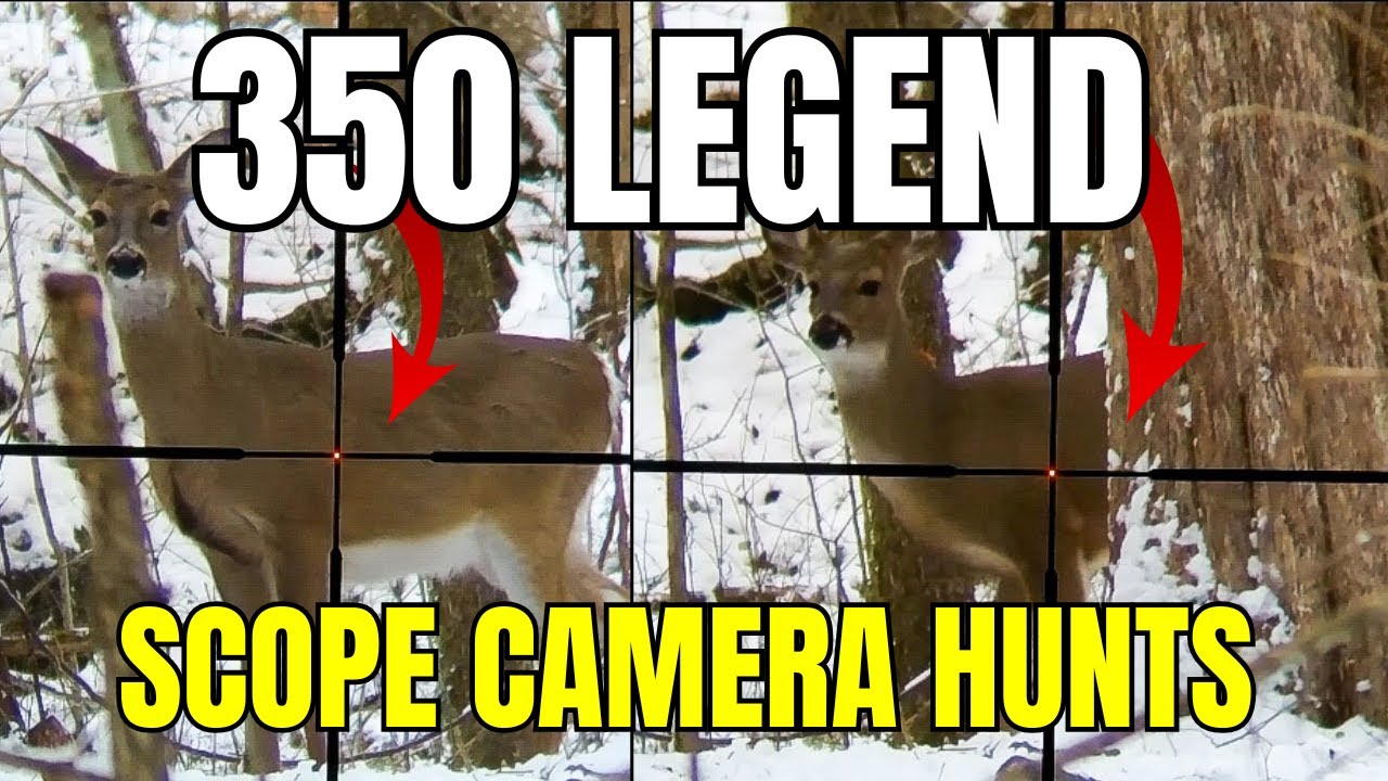 350 Legend vs Deer 🦌🦌🦌 #deerhunting #350legend #whitetail - YouTube