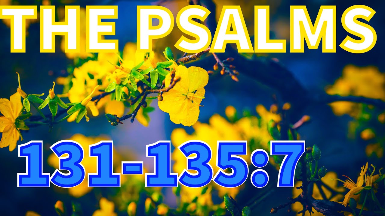 Psalm 131-135:7: Read the Bible! How to PRAISE. Emotional plea ️ - YouTube