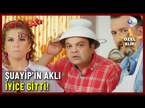 Şuayip'in Aklı İyice Gitti! - Çatı Katı Aşk Özel Klip
