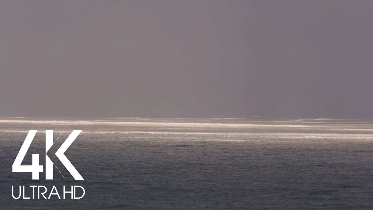 8 Hours of Soothing Ocean Sounds - Satisfying Ocean Beach Waves - YouTube